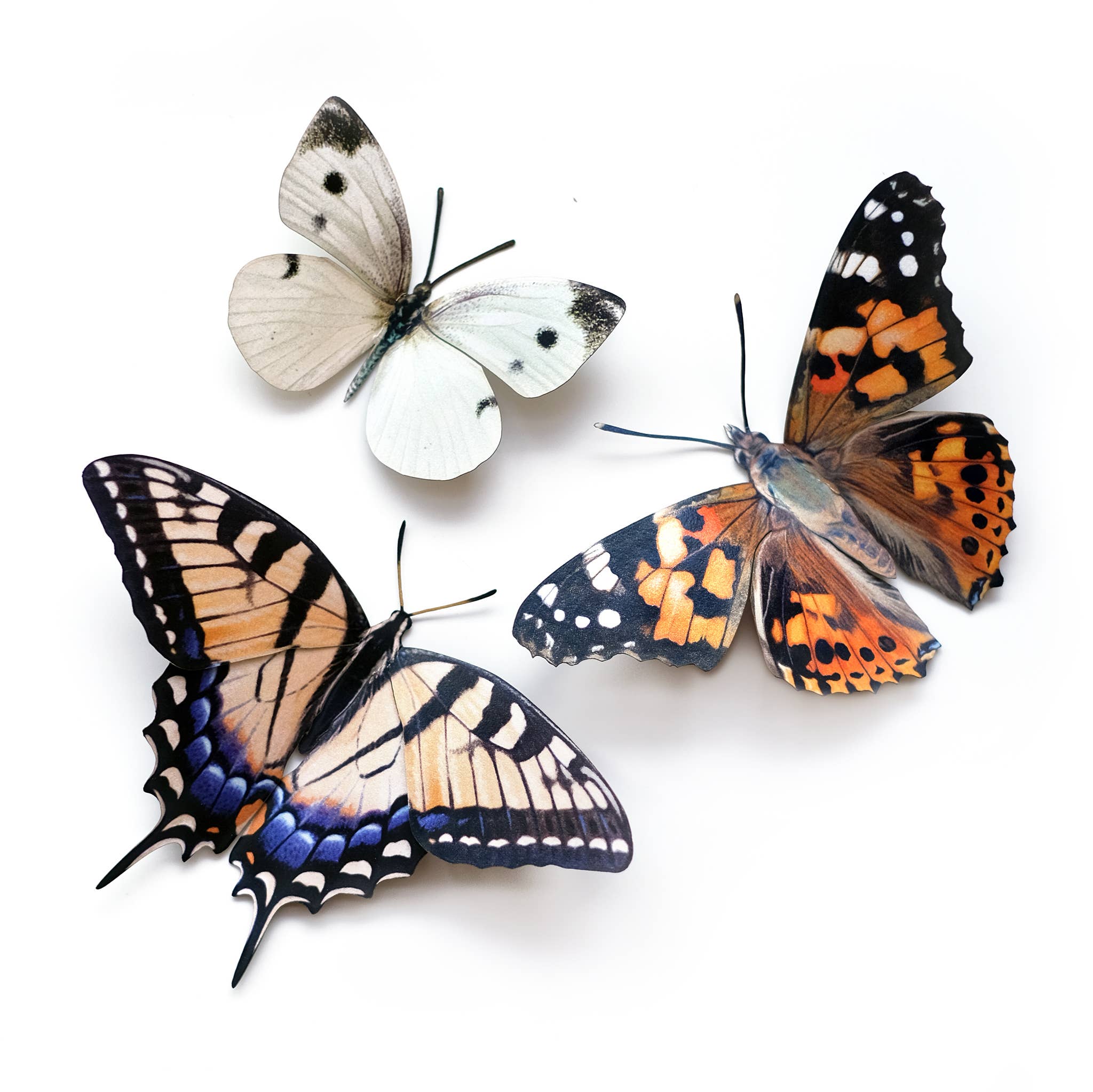 "Southeast" 3 Piece Butterfly set – The Paper Canopy