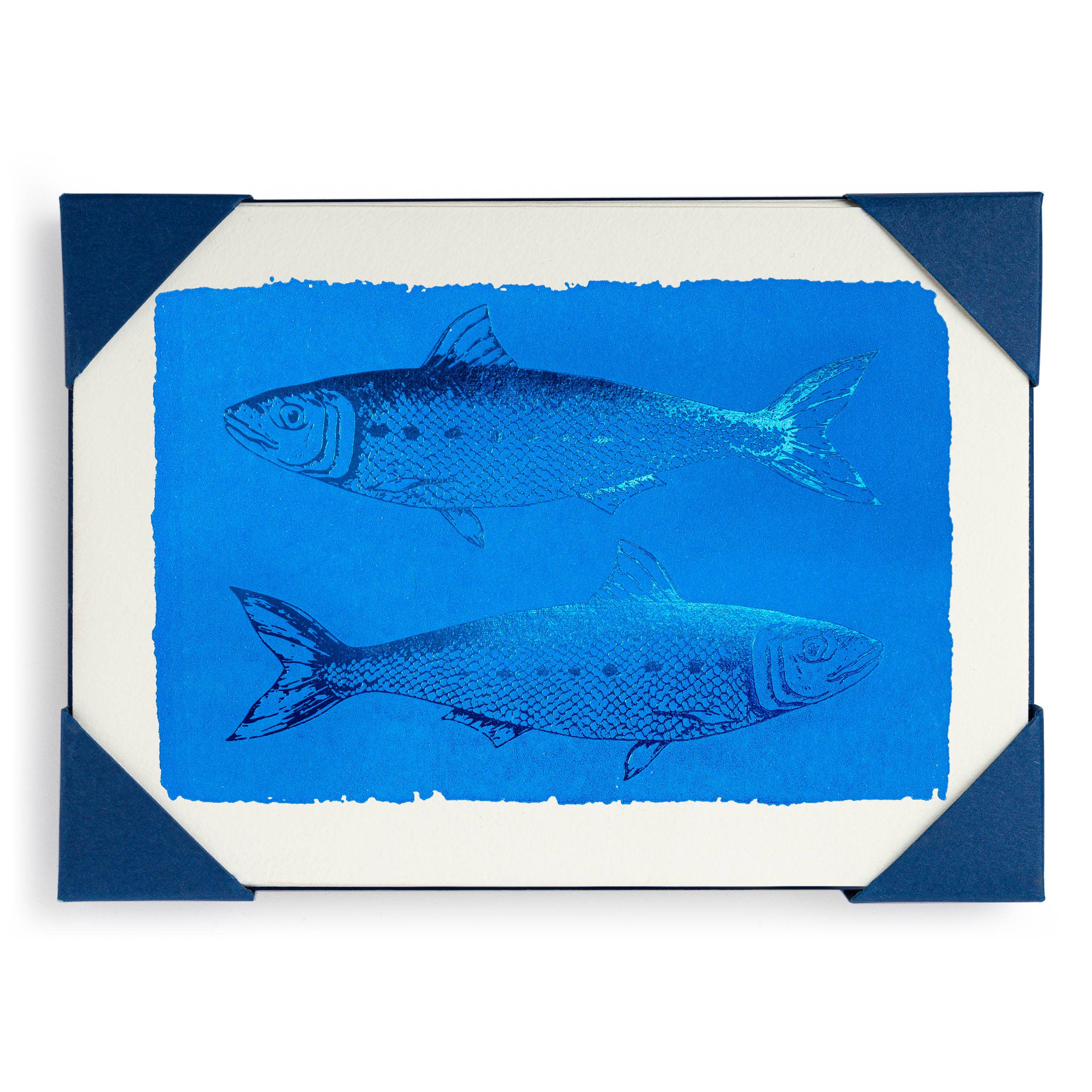 Sardines | Notelet Card (5-Pack) – The Paper Canopy