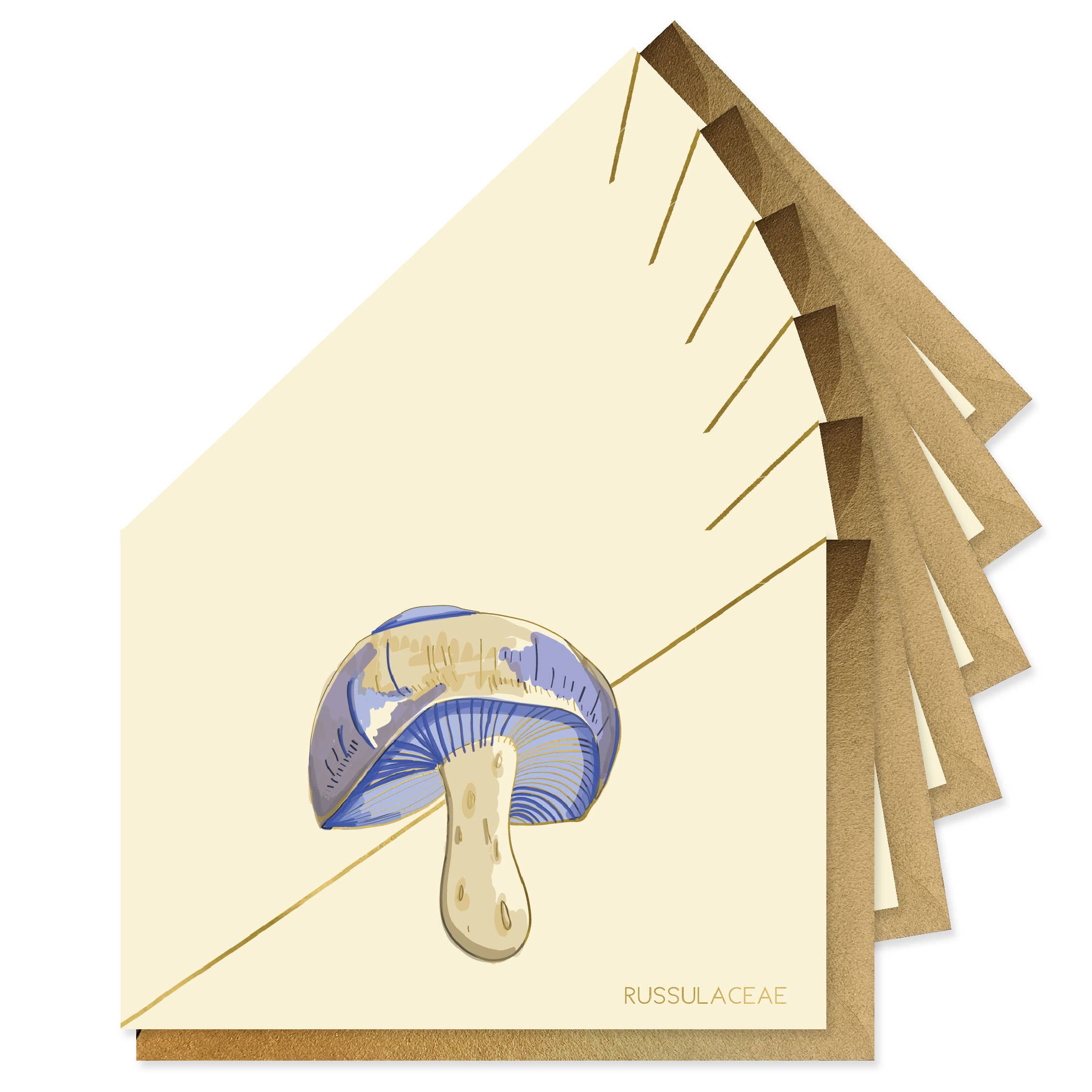 Periwinkle Mushroom Stationery Boxed Set Of 6 Cards – The Paper Canopy