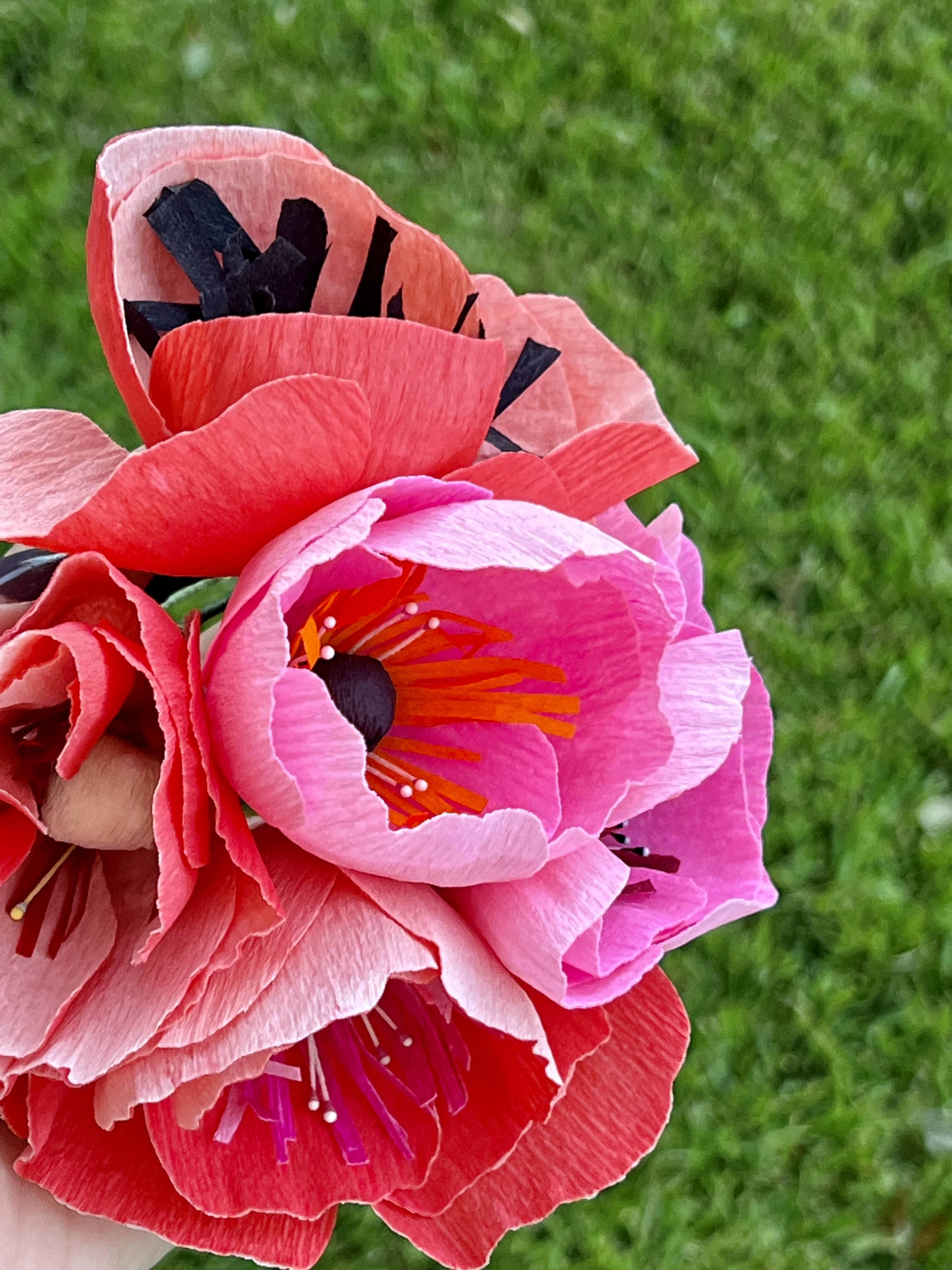 Classes & Events – The Paper Canopy