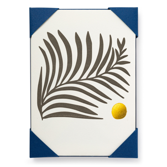 White Fern | Notelet Card (5-Pack) – The Paper Canopy